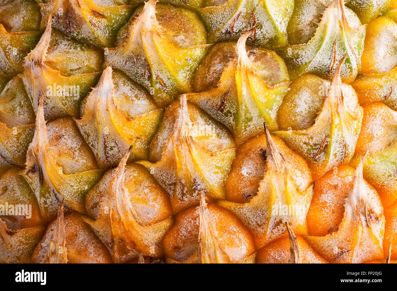 Colorful indian hi-res stock photography and images - Alamy