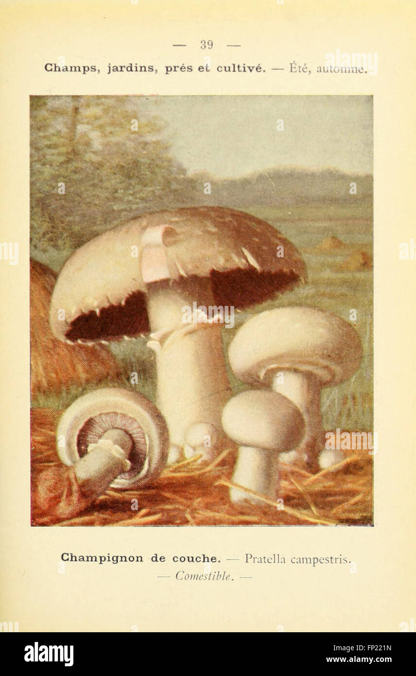 The *Nouvel Atlas de Poche des Champignons Comestibles et Vénéneux ...