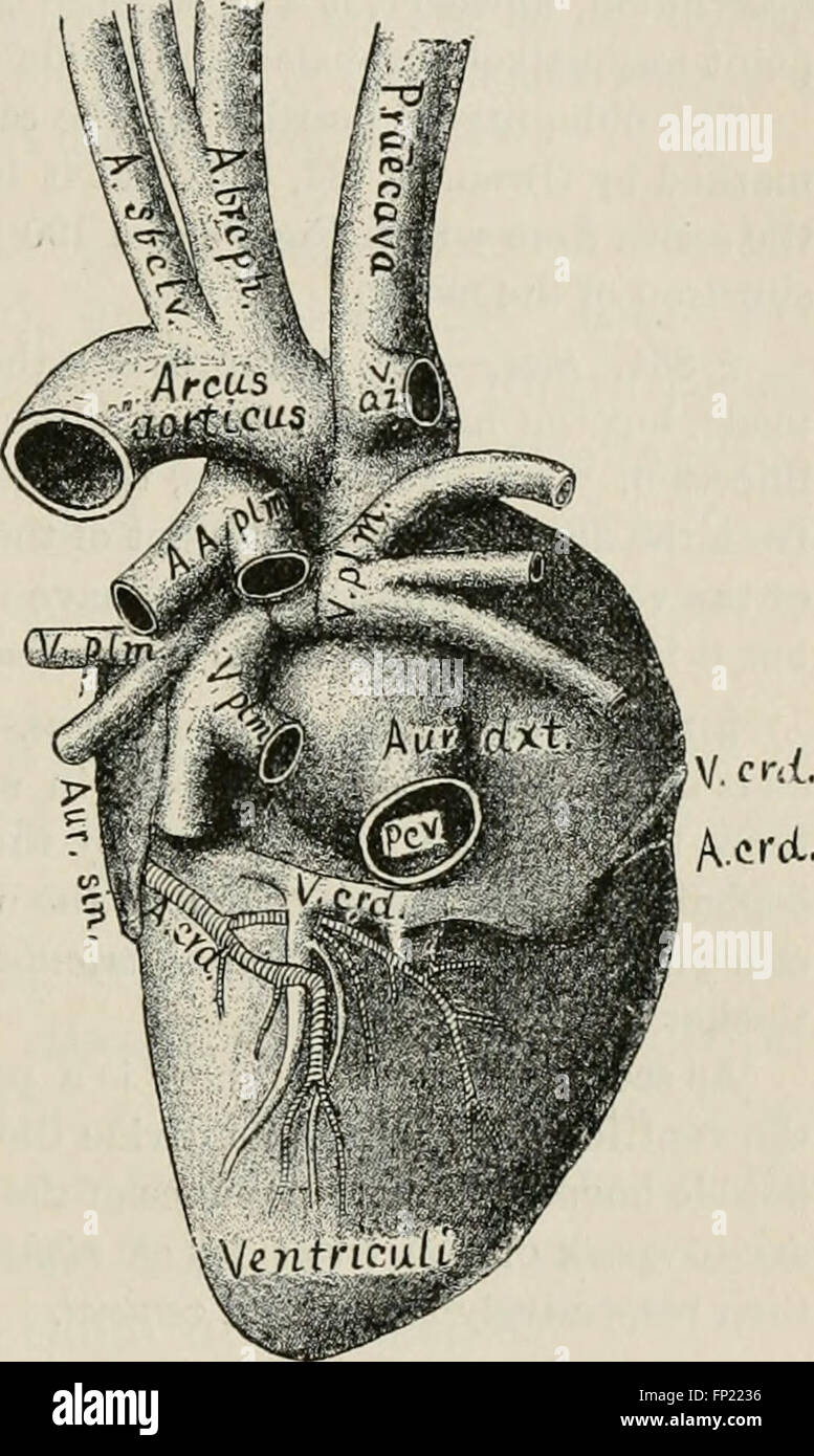 This 1882 book introduces anatomical technology applied to the study of ...