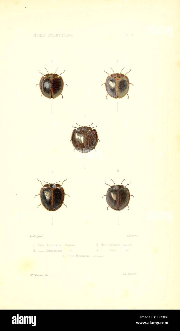 Physis hi-res stock photography and images - Alamy