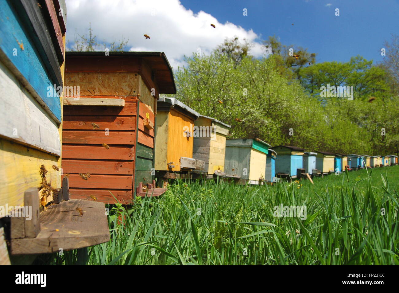 Beehive at grass hi-res stock photography and images - Alamy