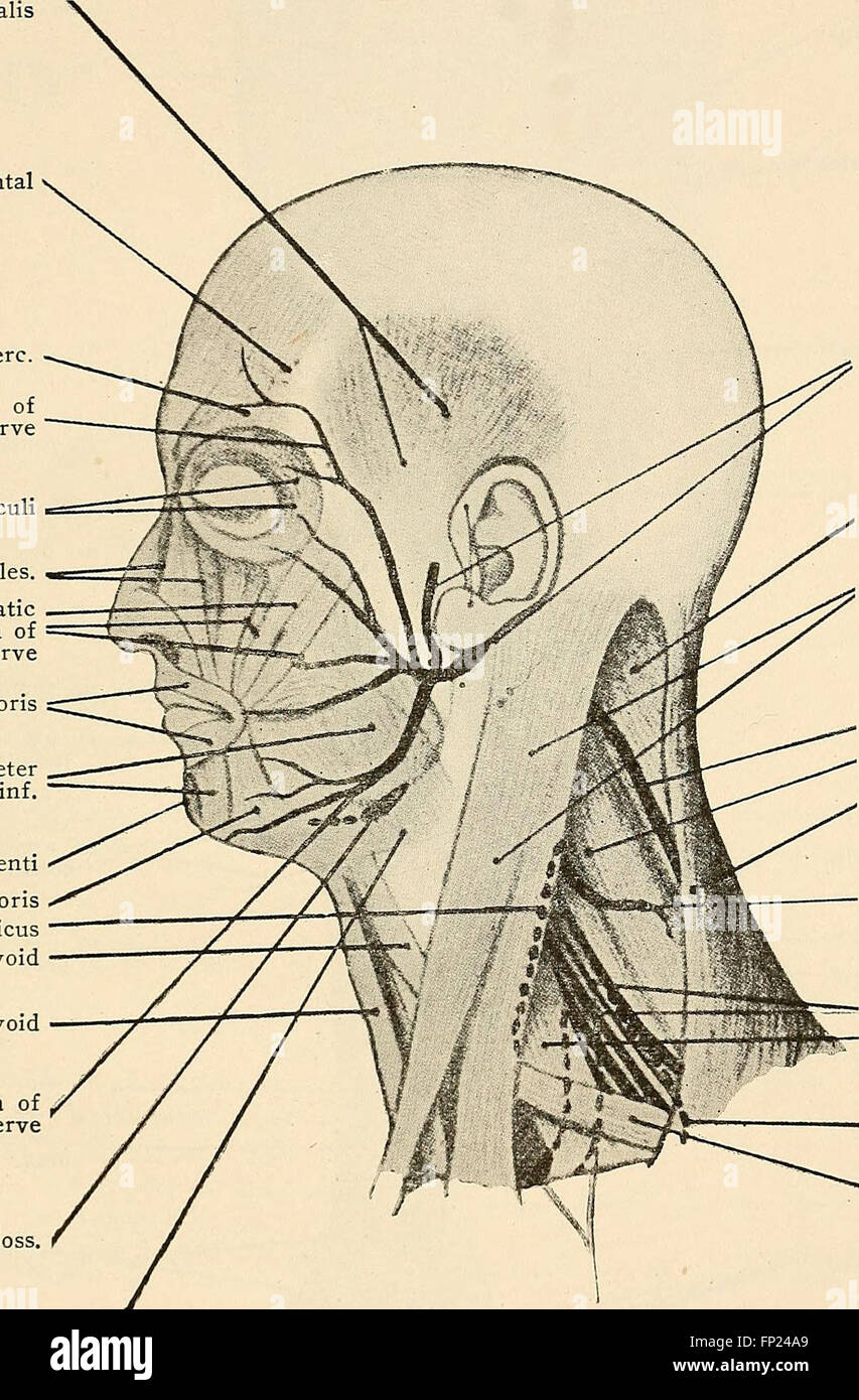 This work outlines the principles of electro-medicine, electrosurgery ...
