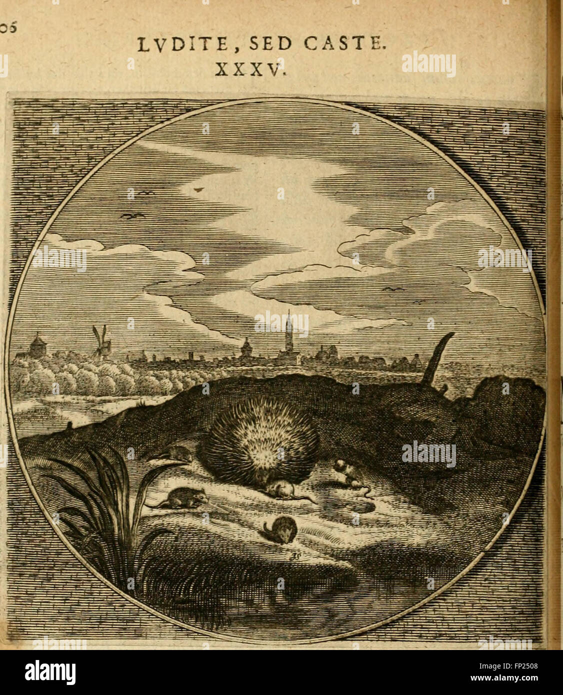 This 17th-century text, written in Dutch, discusses the transformation ...