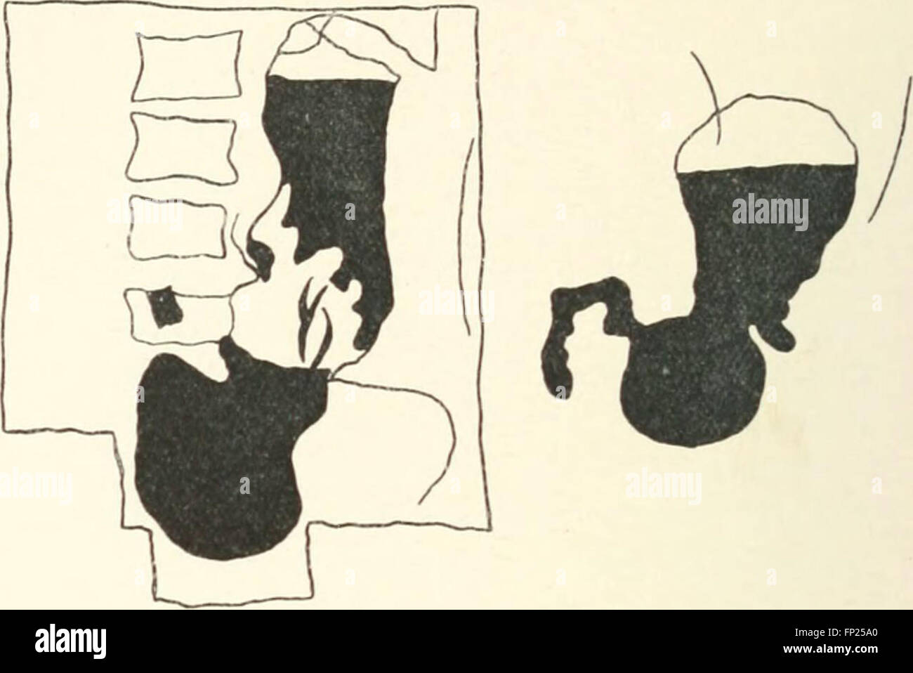 This publication discusses the applications and advancements in ...