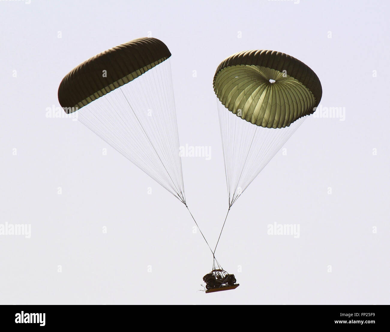 This statement by the Secretary of Defense acknowledges the elite ...