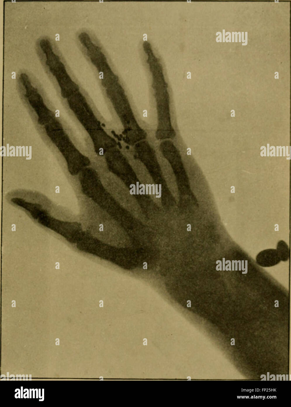 A comprehensive guide on the theory and practical application of ...