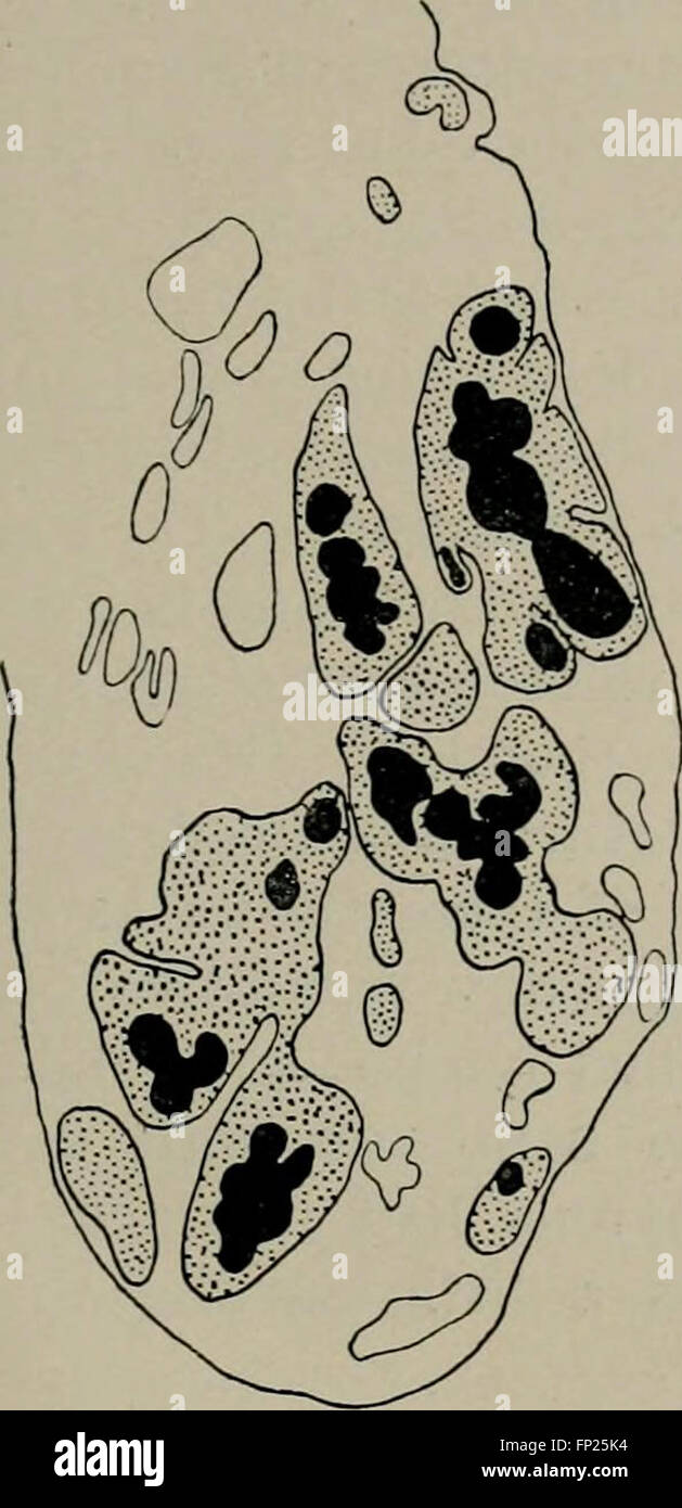 This 1915 work delves into the scientific understanding of radium, X ...