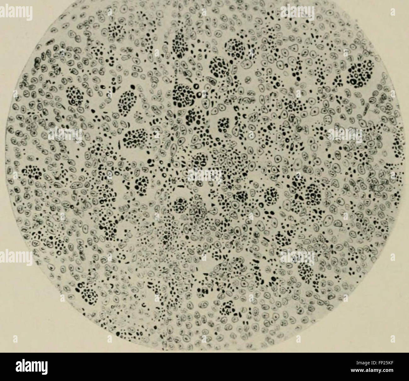 This 1915 work explores the effects of radium and X-rays on living ...