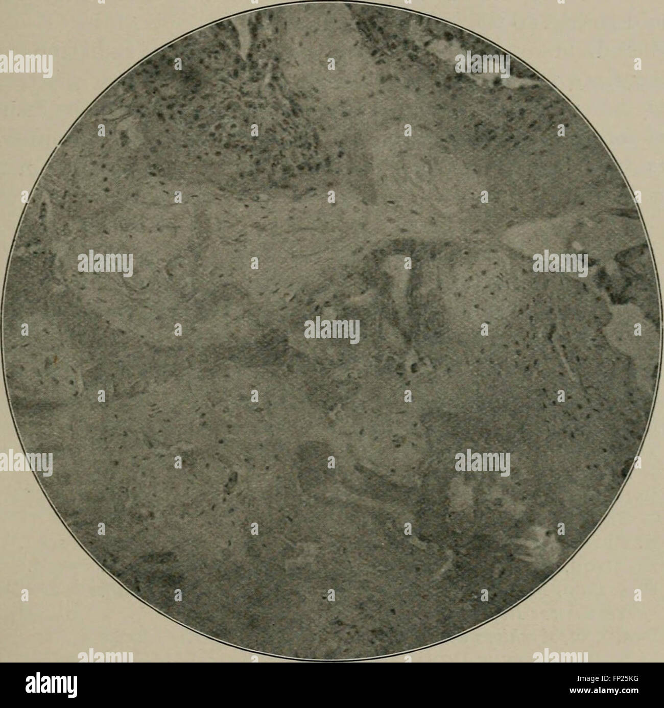 This 1915 work explores the interaction between radium, X-rays, and ...