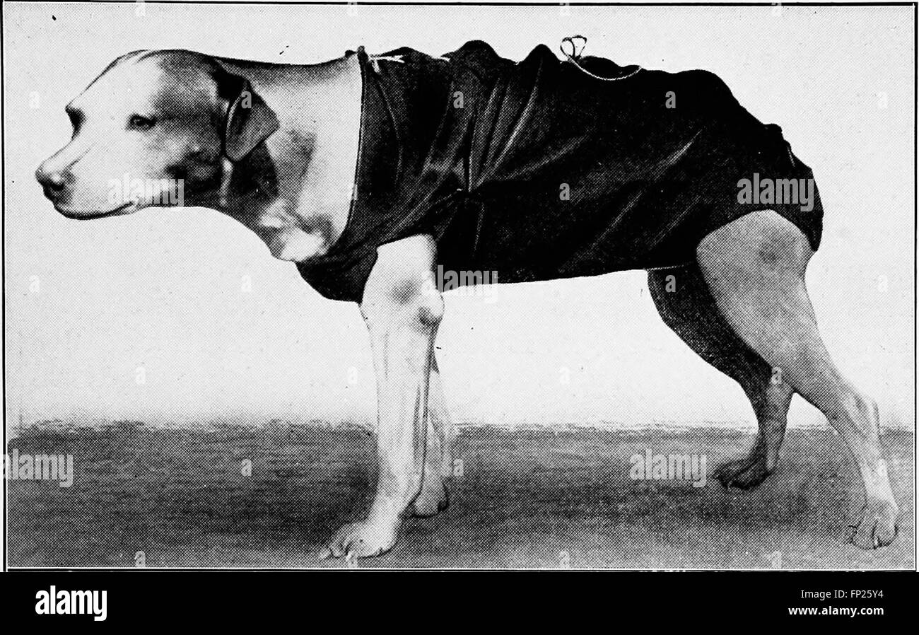 This 1914 book on animal castration is designed for students and ...
