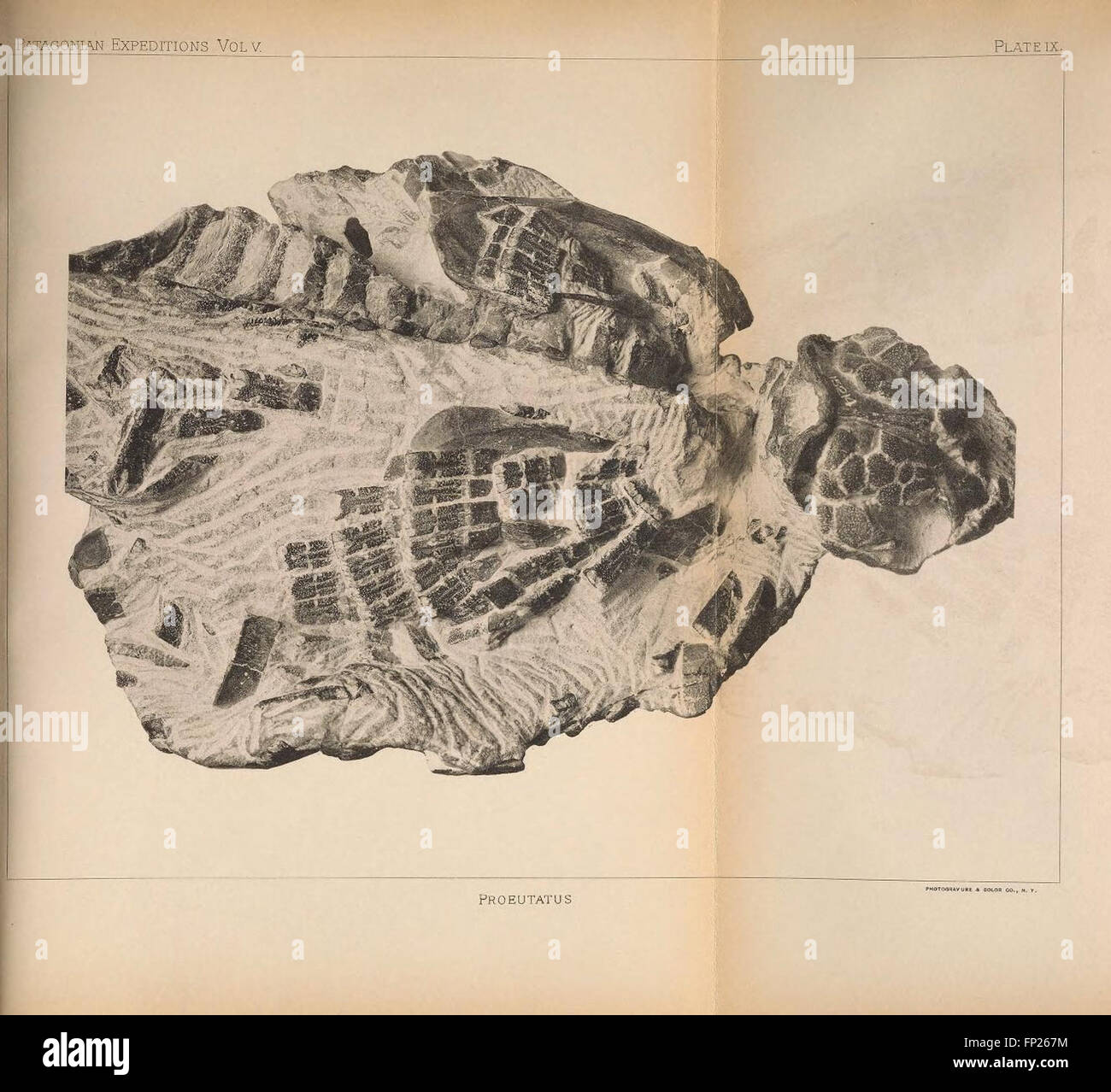 This plate is part of a series documenting the Princeton University ...