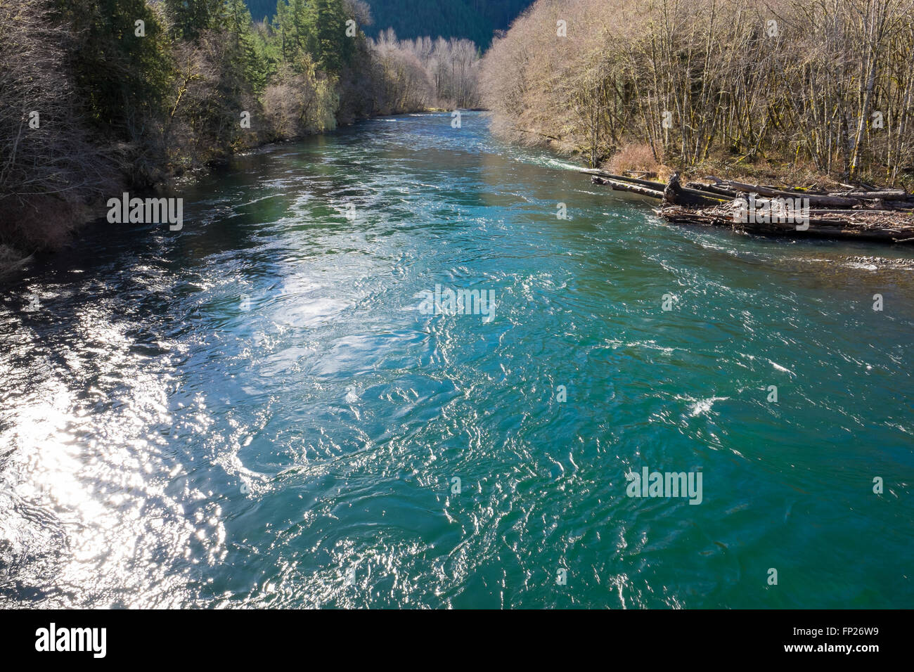 Upper McKenzie River in Oregon shot in color during daylight Stock ...