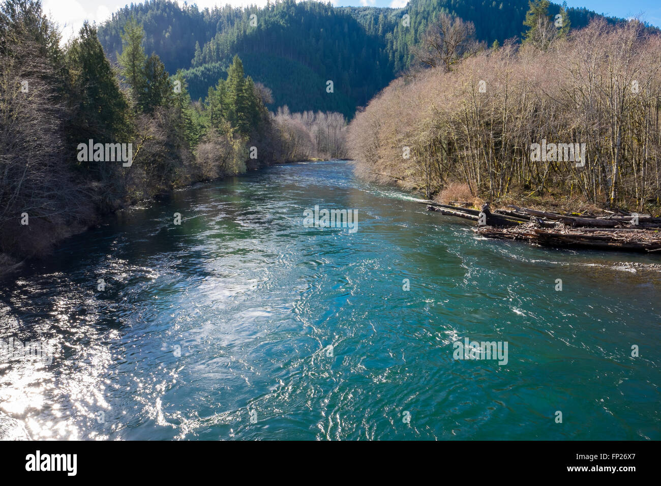 Upper McKenzie River in Oregon shot in color during daylight Stock ...