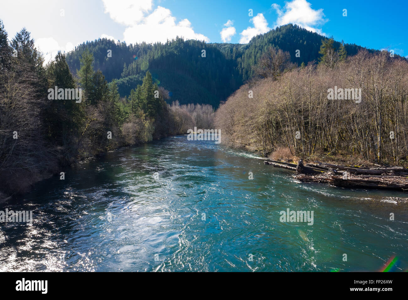 Upper McKenzie River in Oregon shot in color during daylight Stock ...