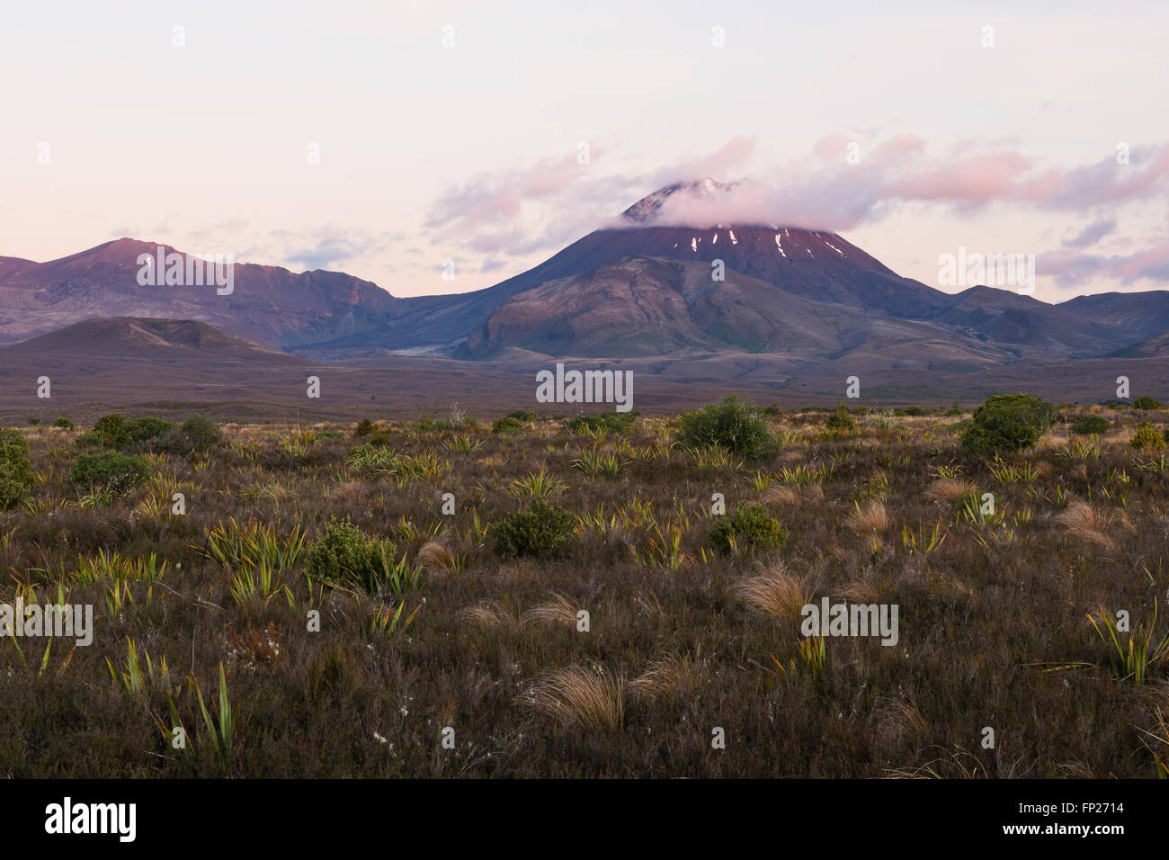 Mount Ngauruhoe volcano at sunset, Tongariro National Park, New Zealand ...