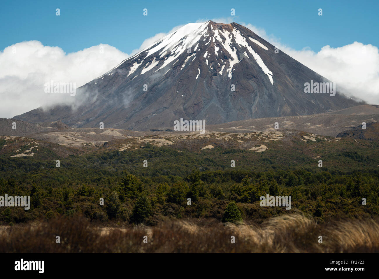 Mt. Ngauruhoe volcano in Tongariro National Park, New Zealand Stock ...