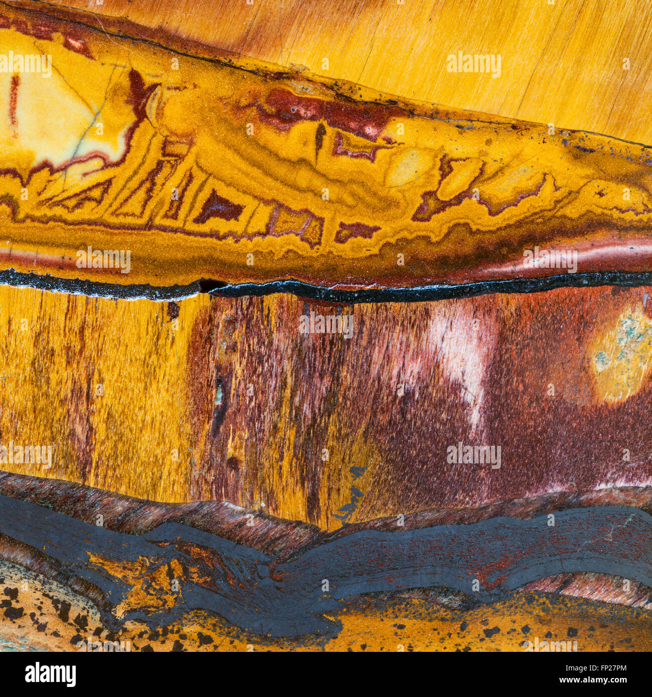 square natural texture background - polished surface of Tiger's eye ...