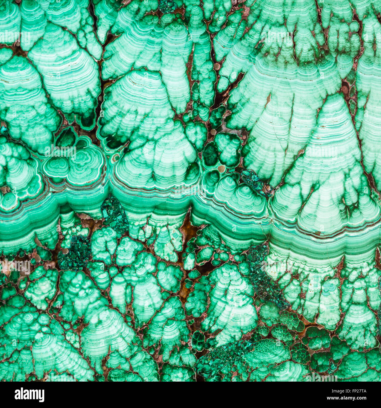 square natural background - texture of malachite mineral gem stone ...