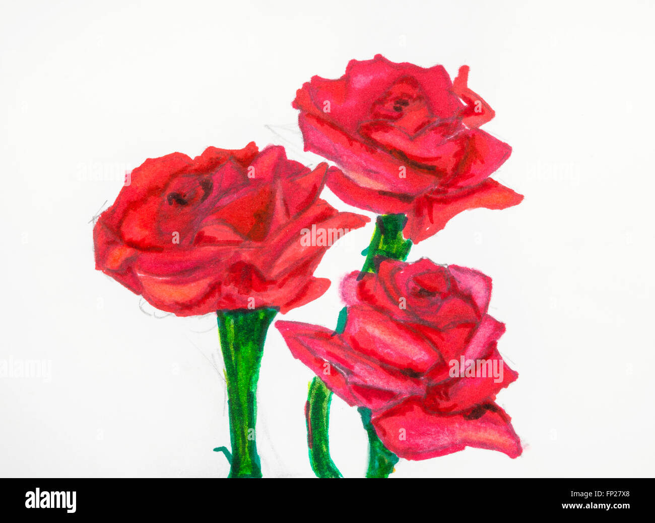 hand drawing - three red rose flowers on green stems painted by felt ...