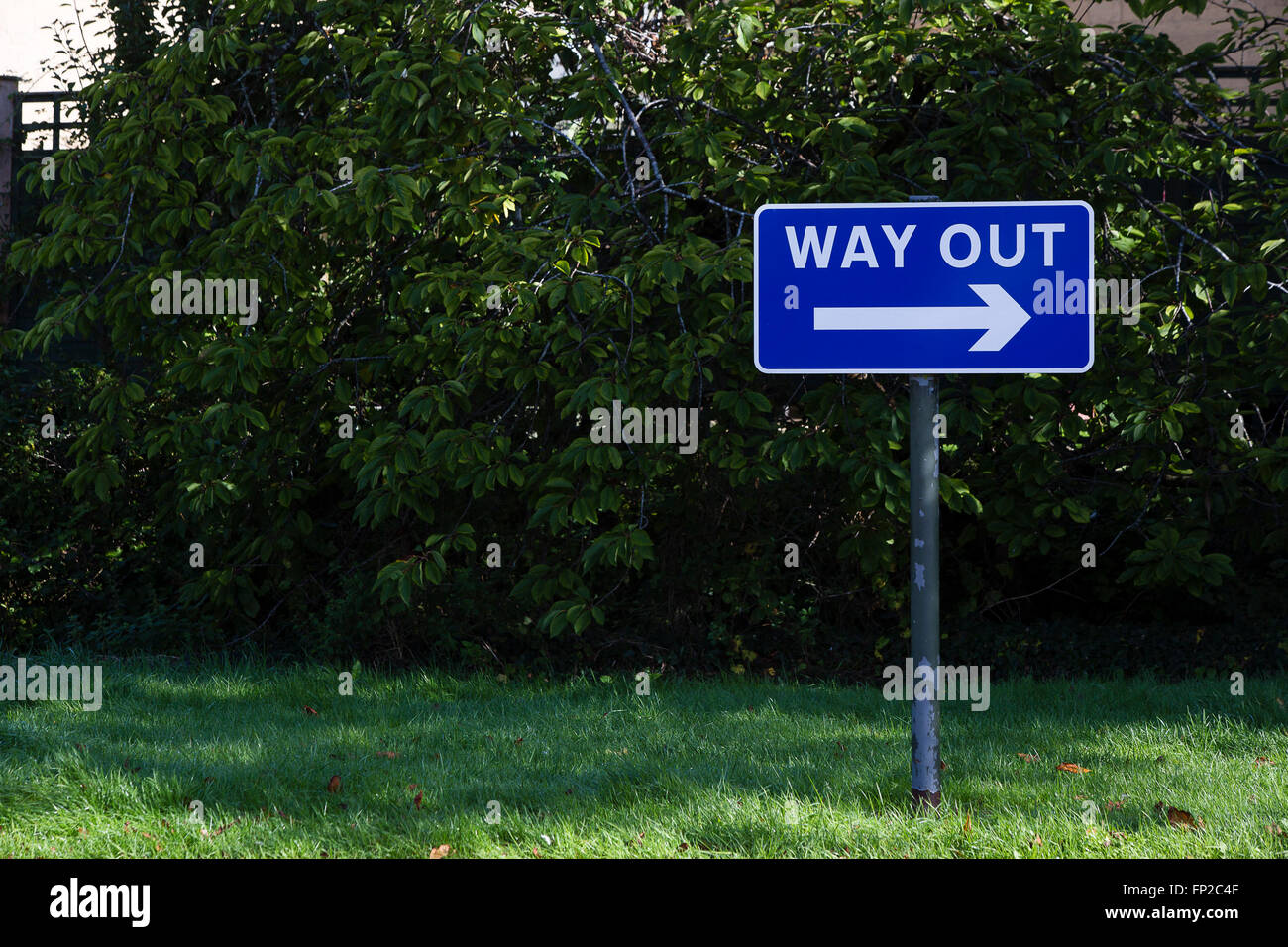 A road side sign with arrow pointing to the way out Stock Photo - Alamy