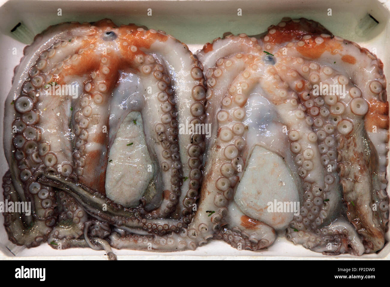 Japan; Kyoto; Nishiki Food Market, octopus Stock Photo - Alamy