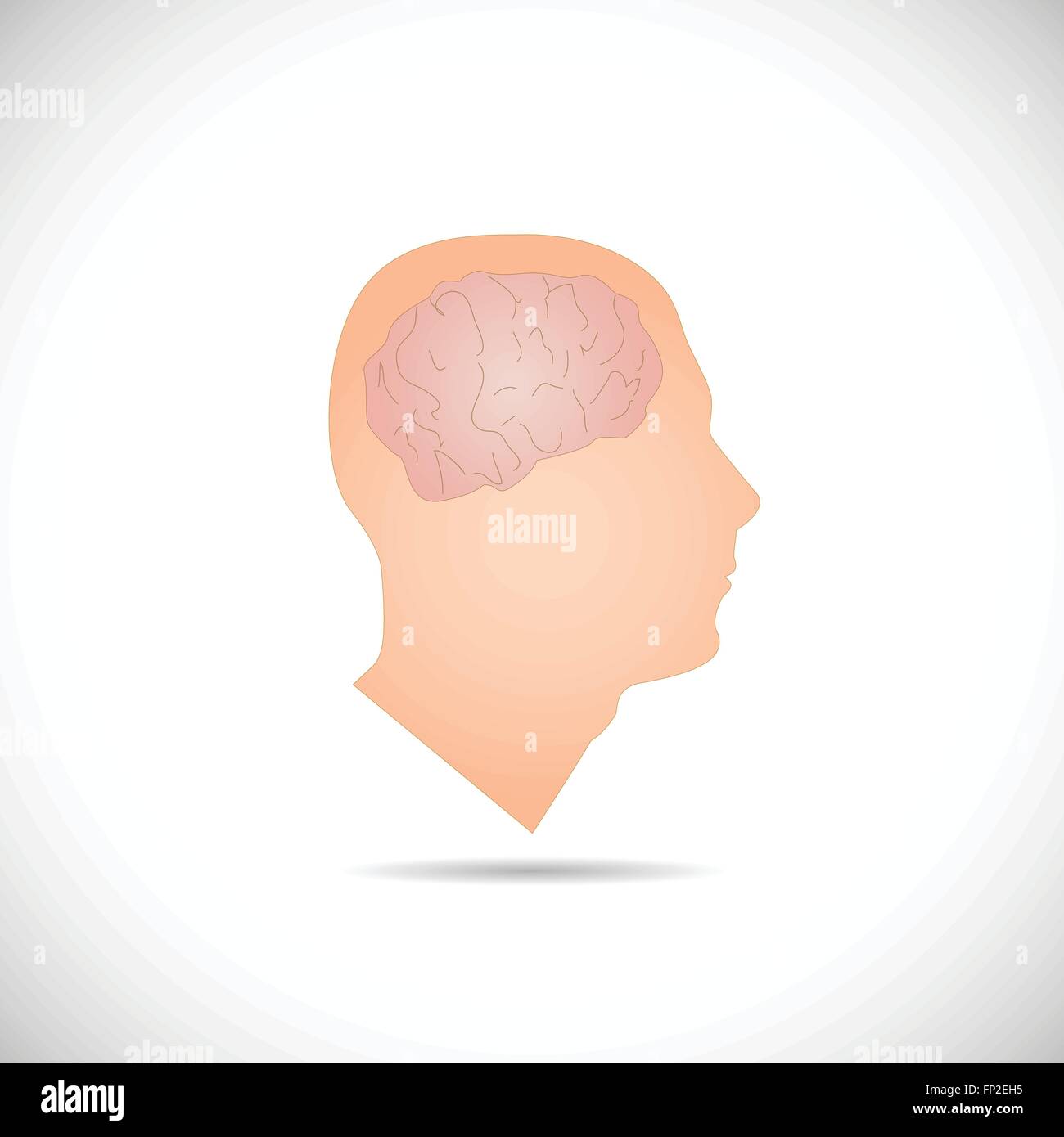 Illustration of a brain inside of a man's head isolated on a white ...