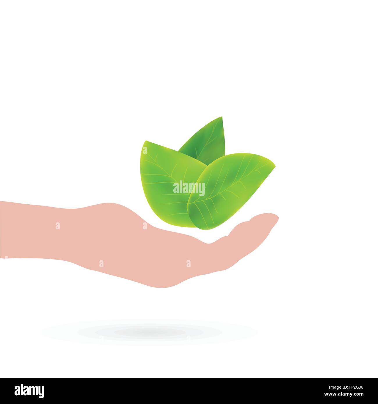 Illustration of a hand holding leaves isolated on a white background ...