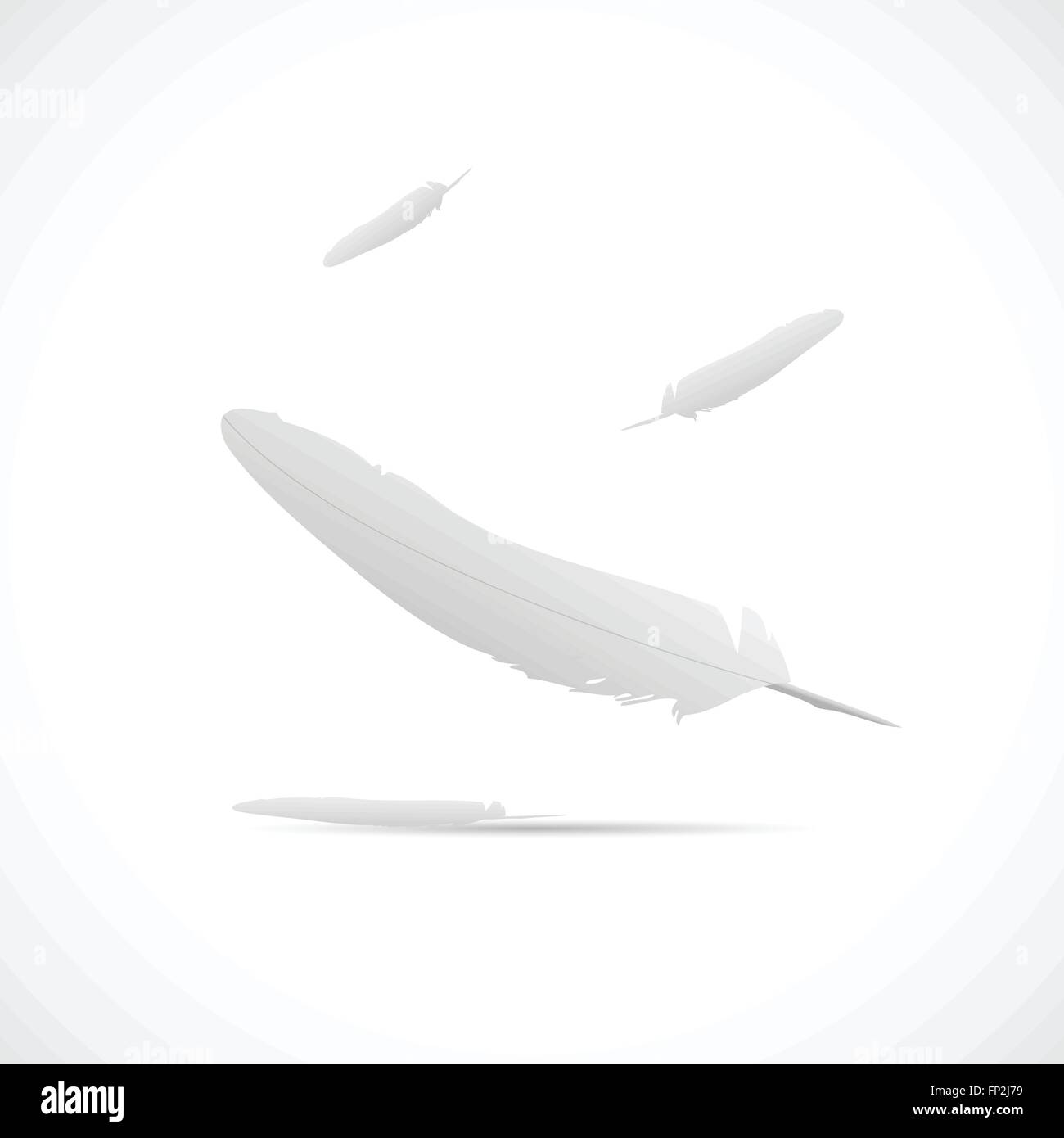 Illustration of a floating feathers isolated on a white background ...