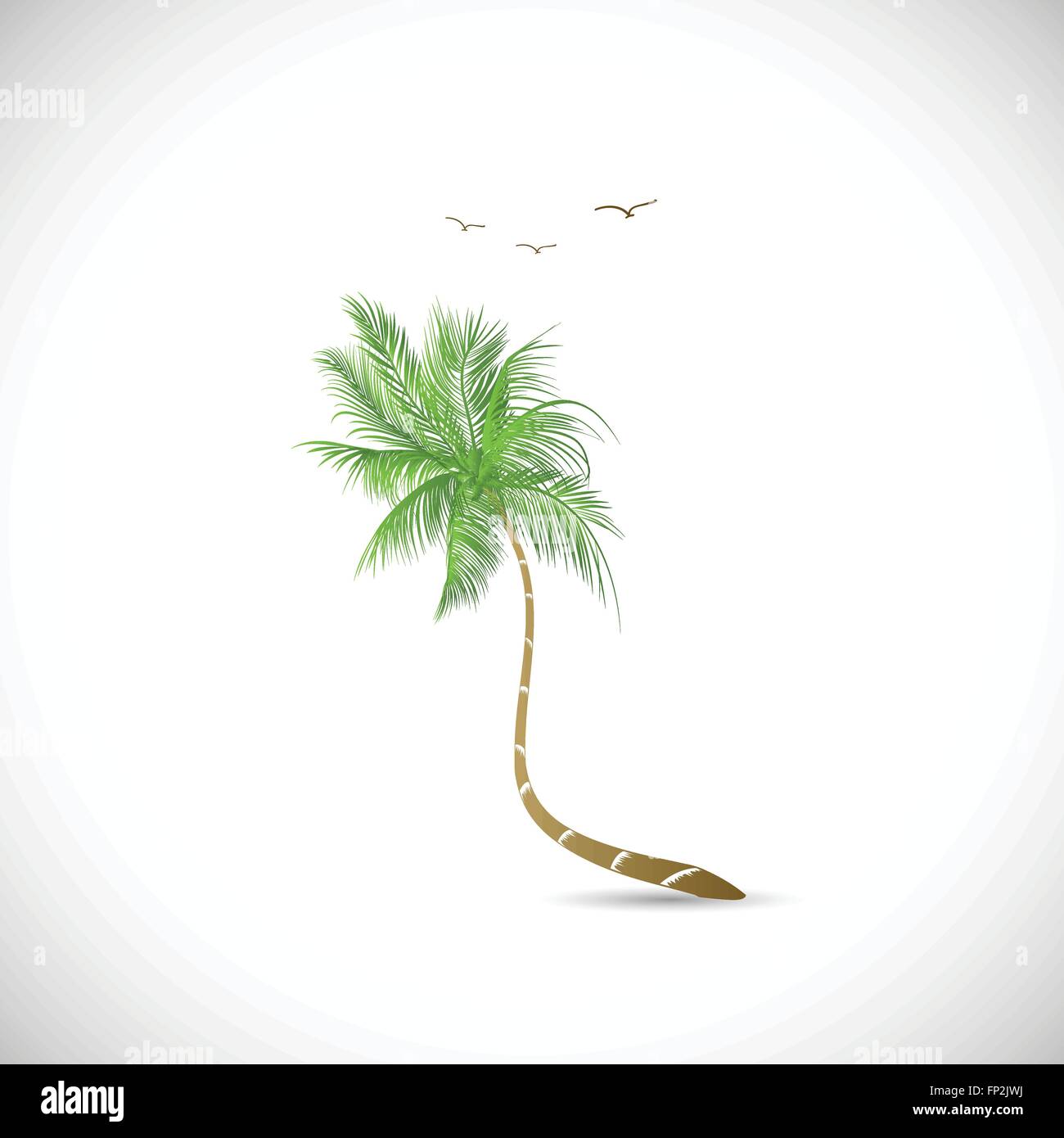 Coconut palm trees coconuts Stock Vector Images - Alamy