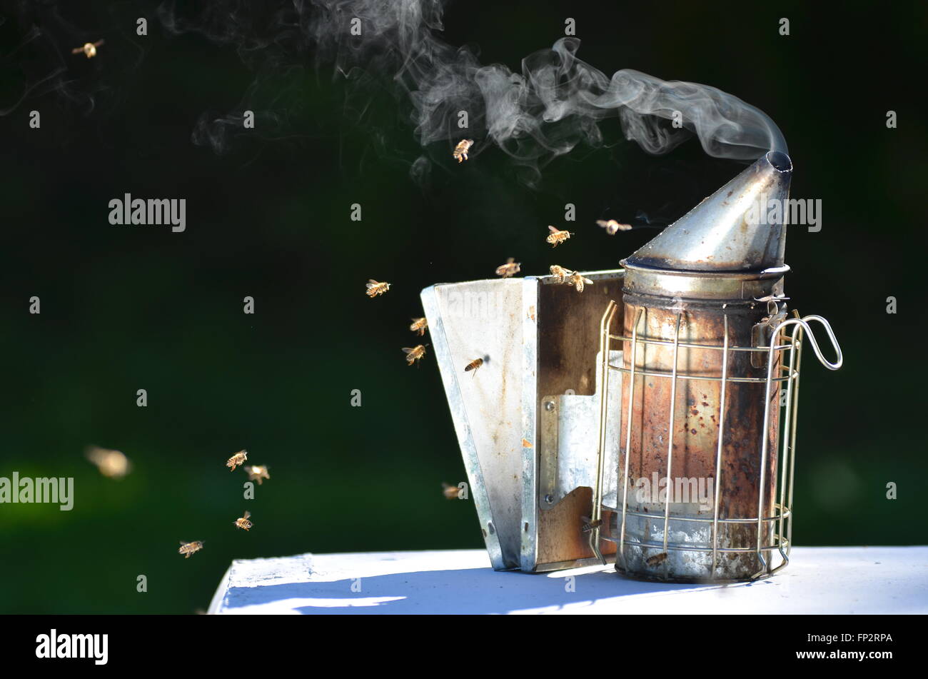 Bee smoker grass hi-res stock photography and images - Alamy