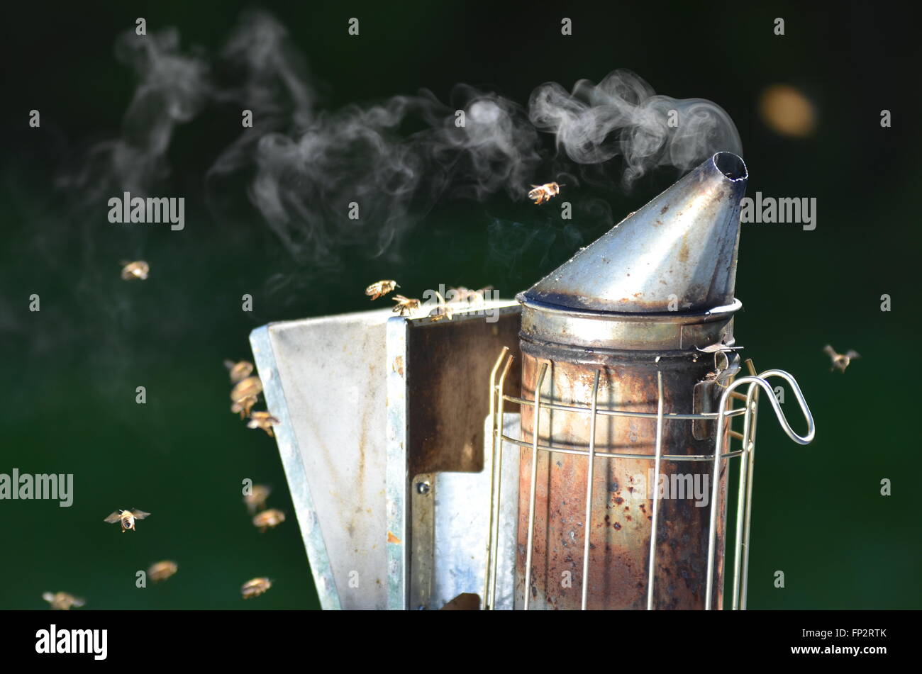 Bee smoker grass hi-res stock photography and images - Alamy