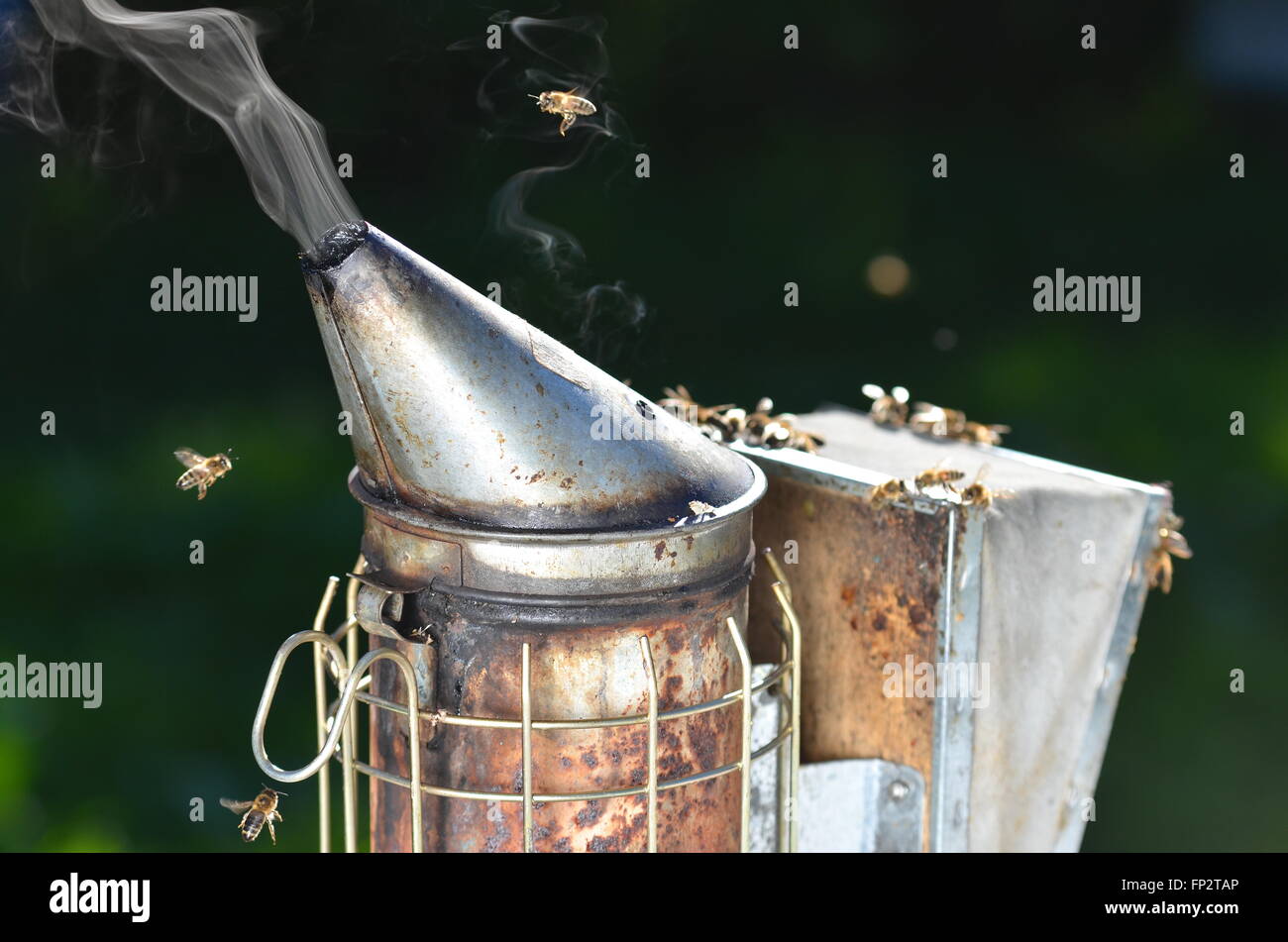 Smoke blower hi-res stock photography and images - Alamy