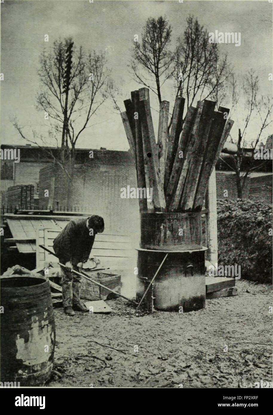 "Elements of forestry" (1914 Stock Photo - Alamy