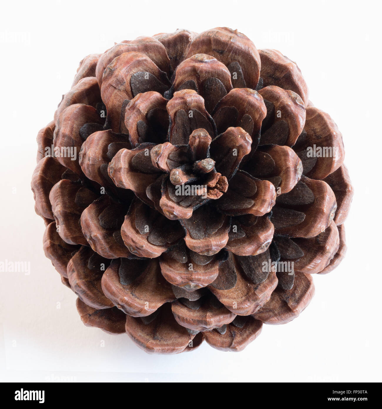 Cone shaped structure hi-res stock photography and images - Alamy