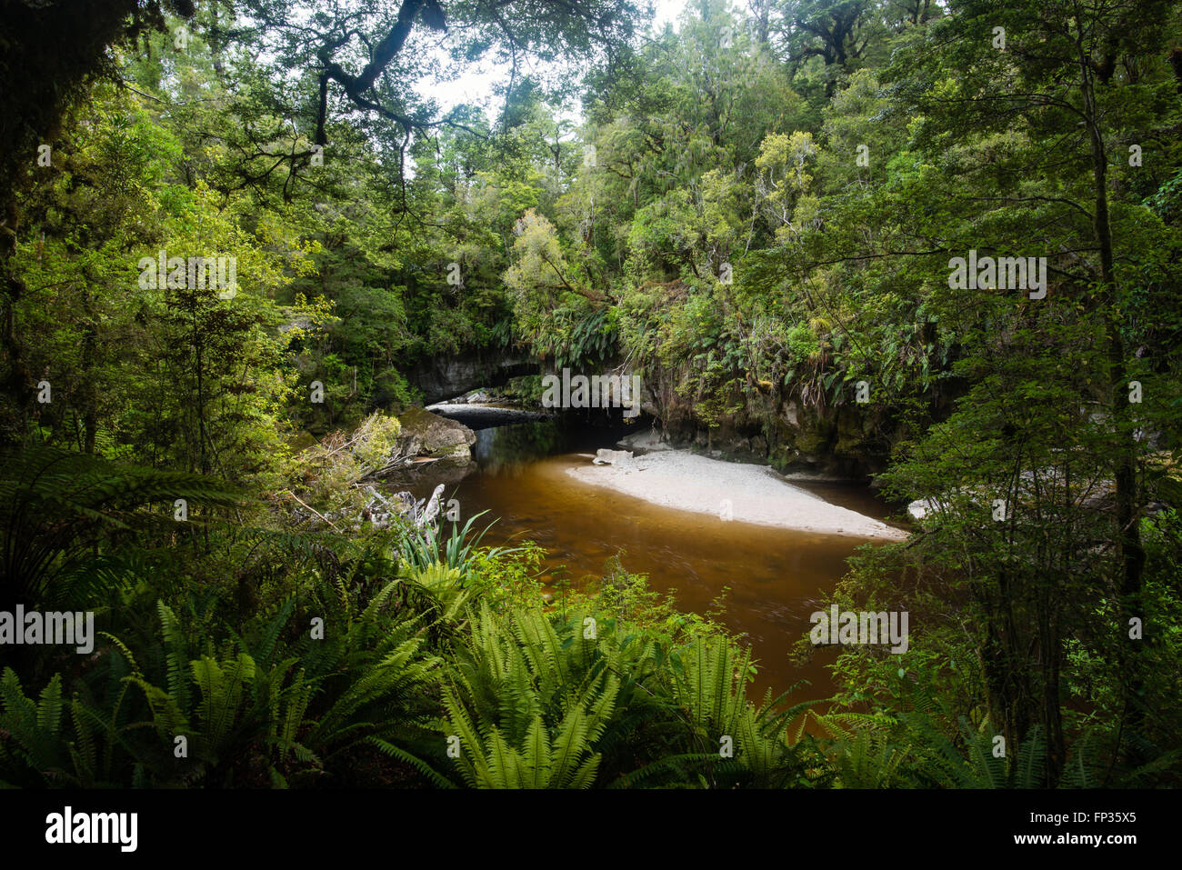 Moria Gate Arch from inside, Oparara river, Westcoast, New Zealand ...