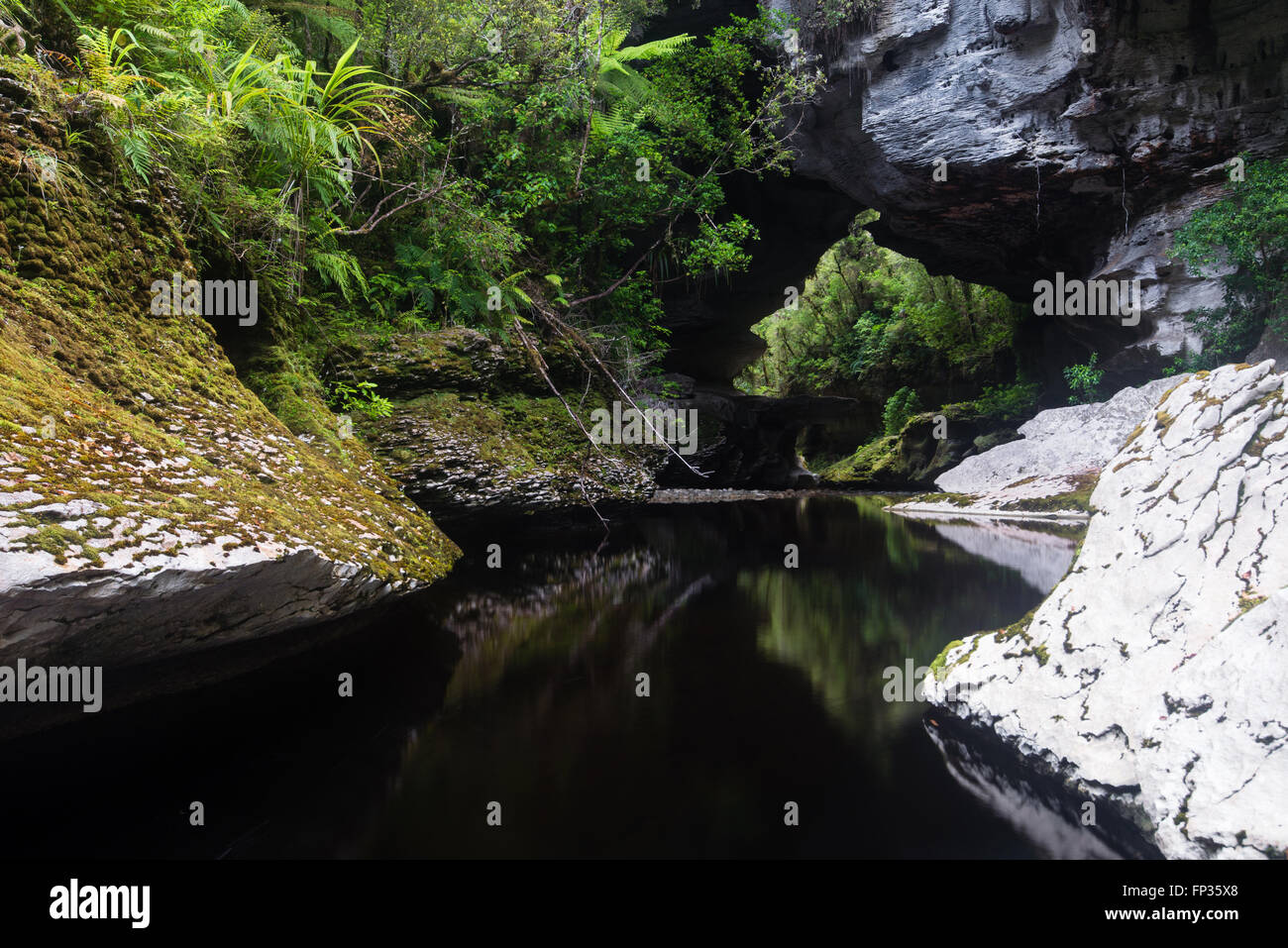 Honeycomb Hill Arch, Oparara basin, New Zealand Stock Photo - Alamy