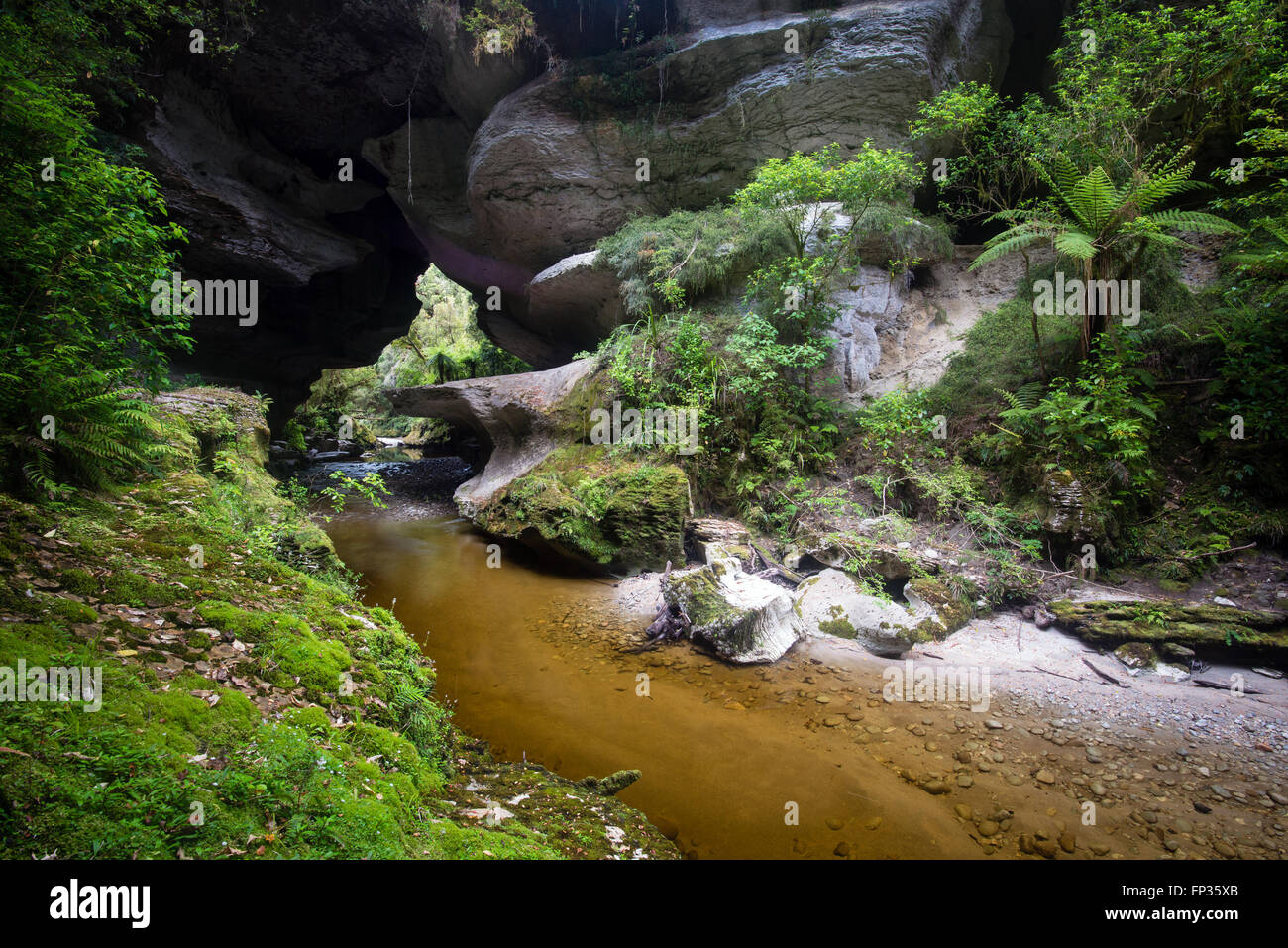 Honeycomb Hill Arch, Oparara basin, New Zealand Stock Photo - Alamy