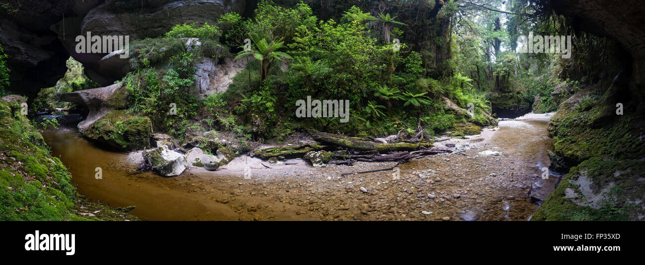 Panorama of river flowing into Honeycomb Hill Arch, Oparara basin, New ...