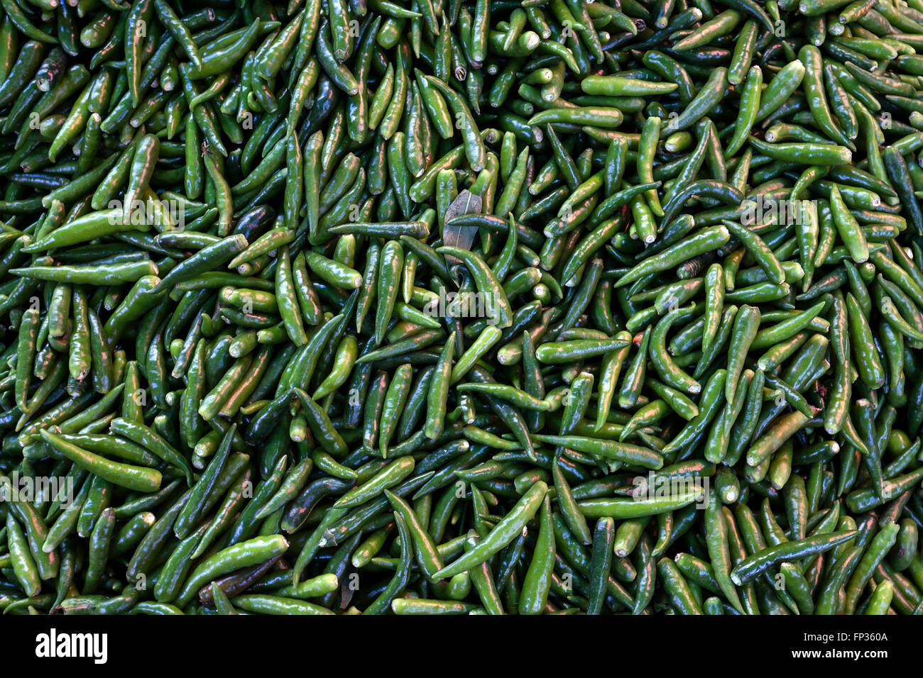 Capsicum annuum hi-res stock photography and images - Alamy