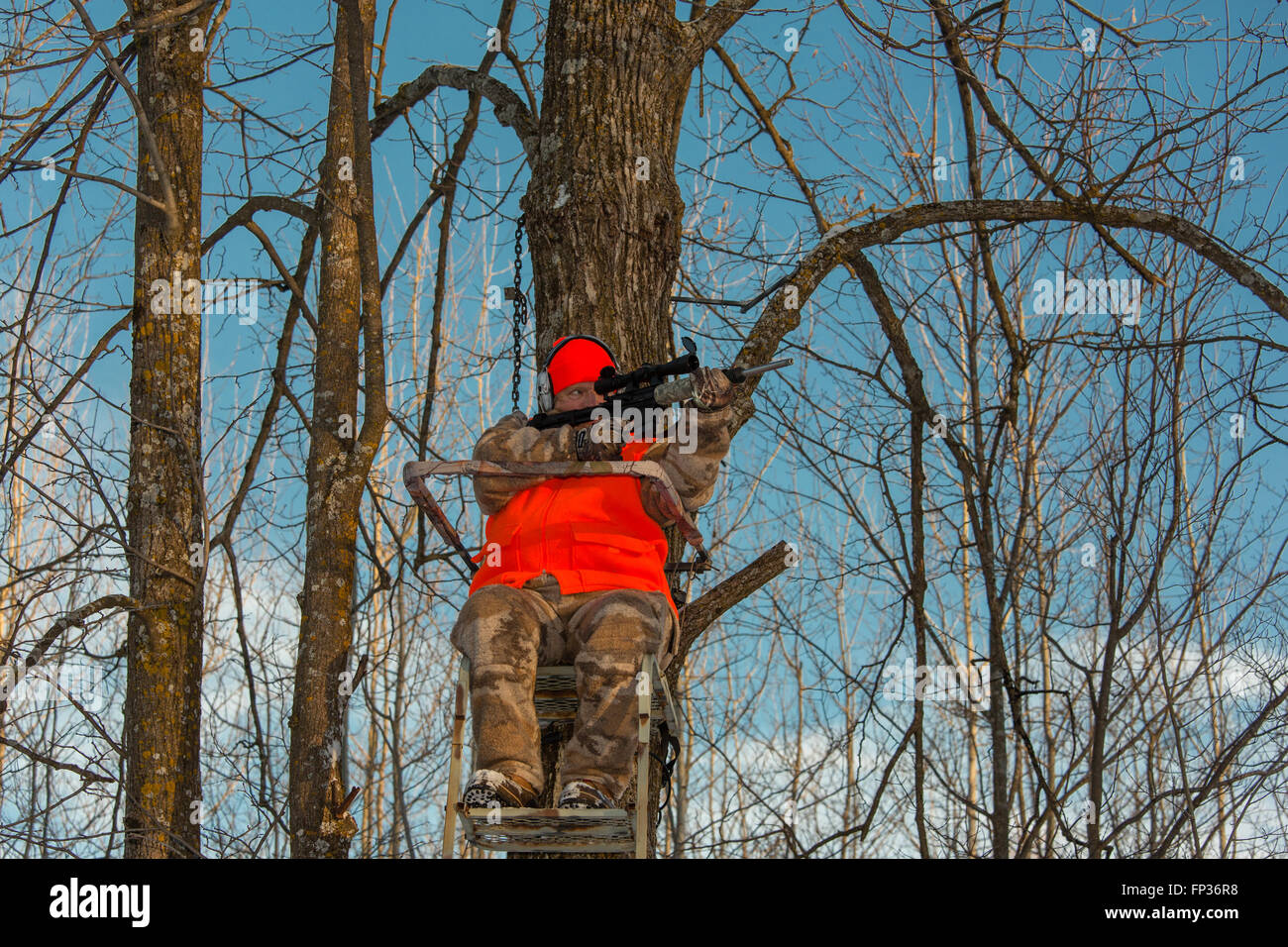 Wisconsin hunter taking aim with his AR-15 Stock Photo - Alamy