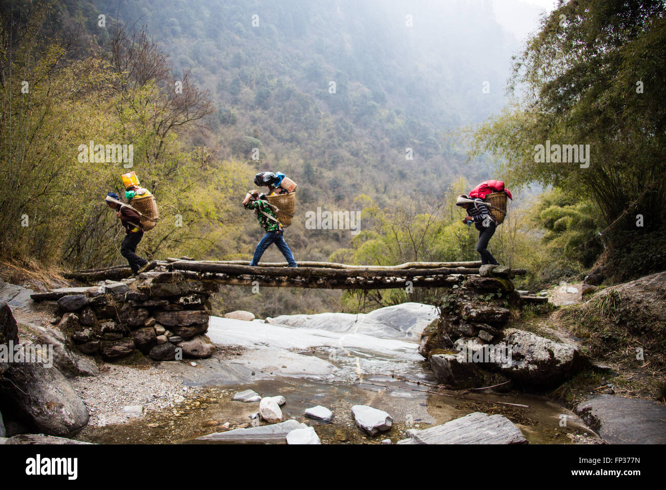 Porters on the ABC trek, Annapurna Base Camp in Nepal Stock Photo - Alamy