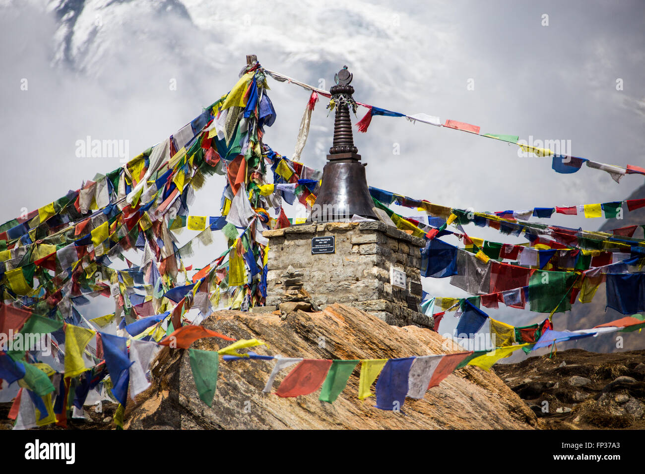 Alex macintyre hi-res stock photography and images - Alamy