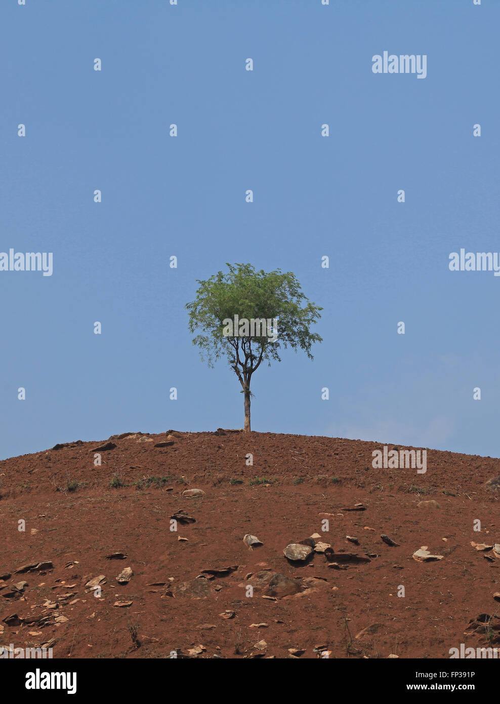 Far view hi-res stock photography and images - Alamy