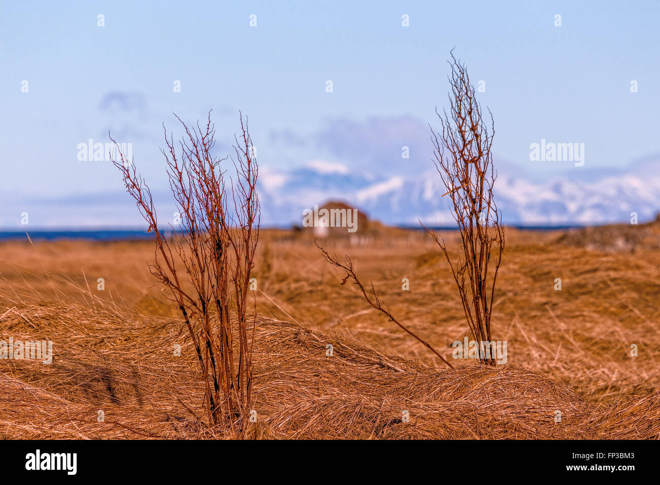 Empty grass field hi-res stock photography and images - Alamy