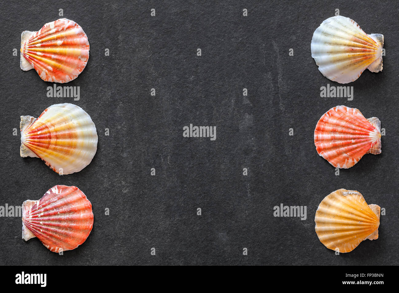 Colorful shells hi-res stock photography and images - Alamy