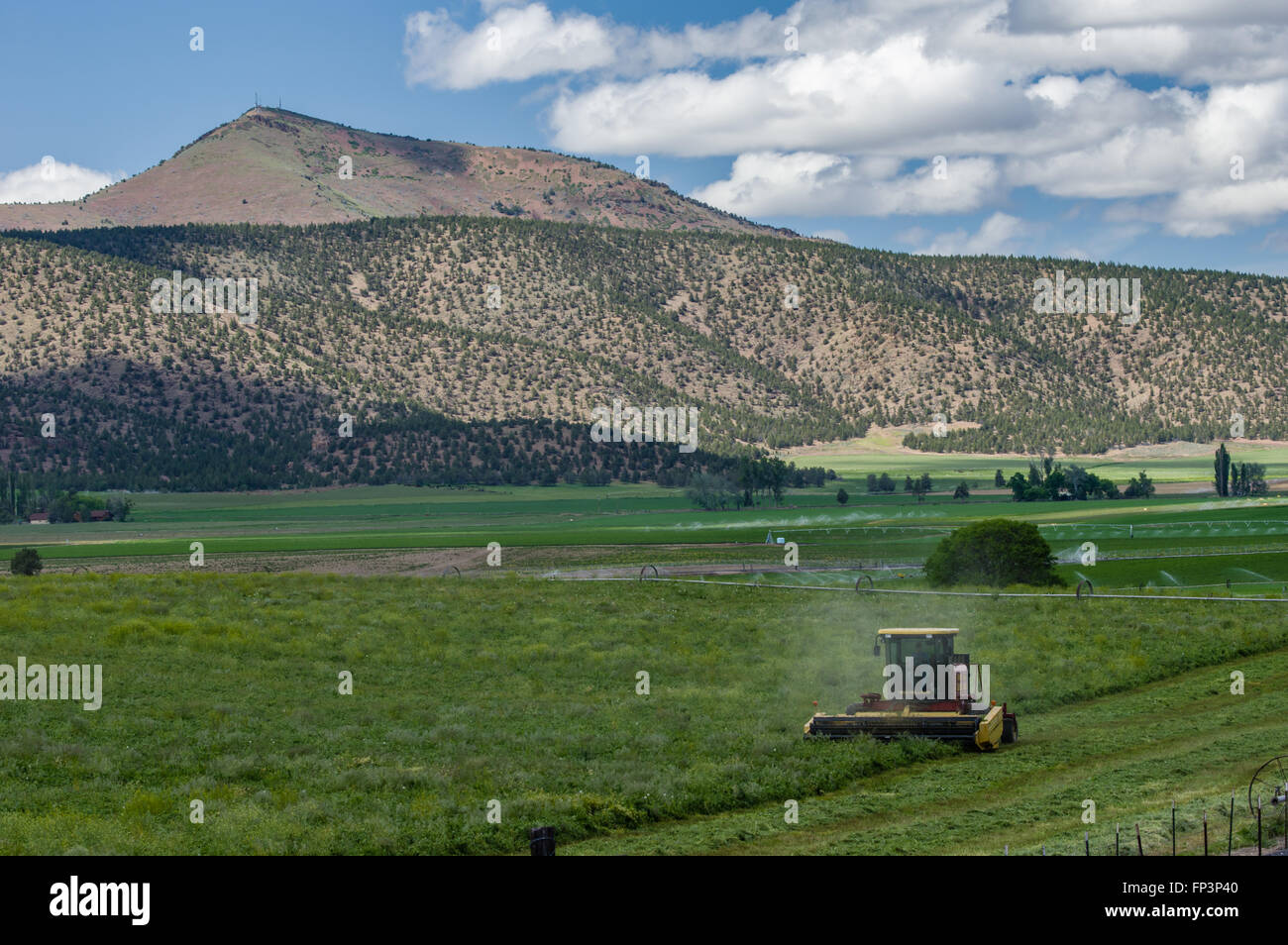 Windrower hay crop hi-res stock photography and images - Alamy