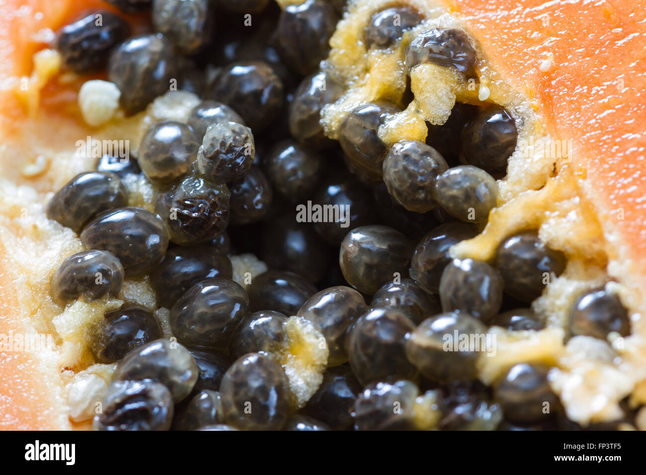 close up of a papaya cut in half revealing the meat and a pile of dark ...