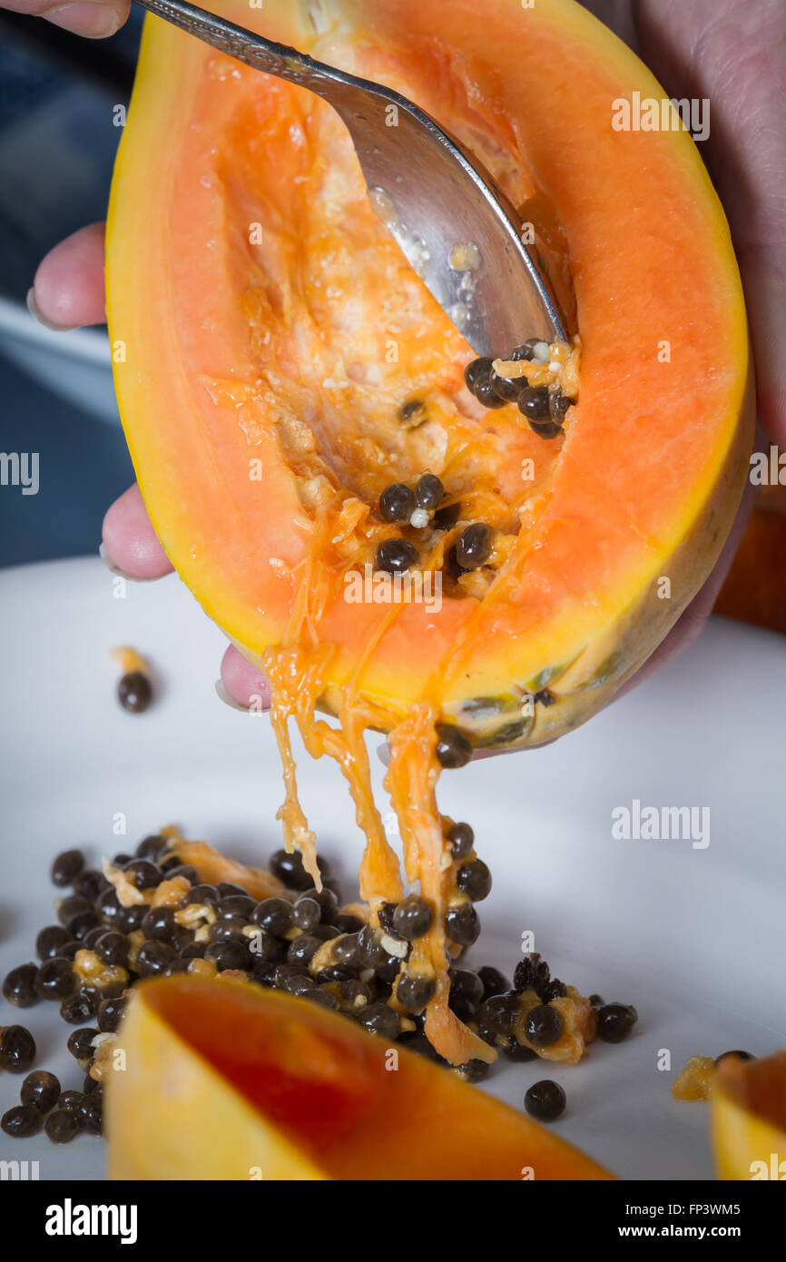 cleaning a papaya with a spoon up close dropping the seeds on a white ...
