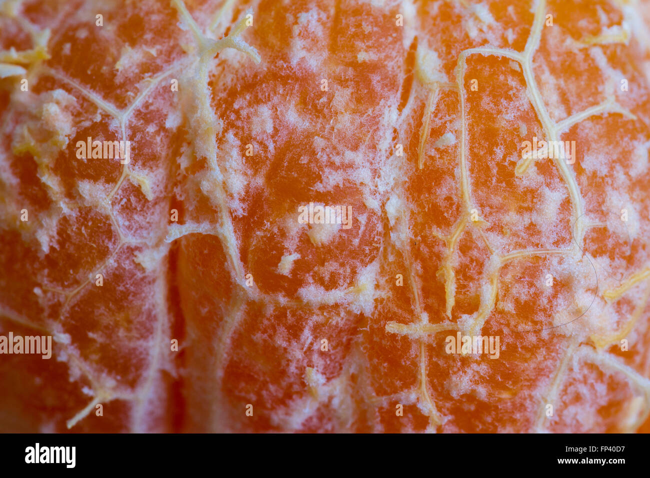 macro of a small orange as an organic texture background Stock Photo ...