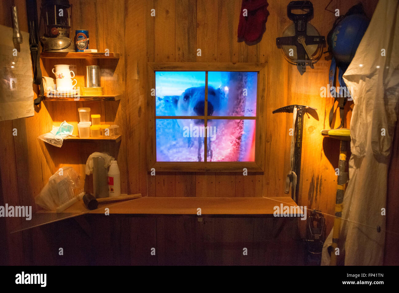 Arktikum museum Rovaniemi Lappland Finland Europe. Bear instalation ...